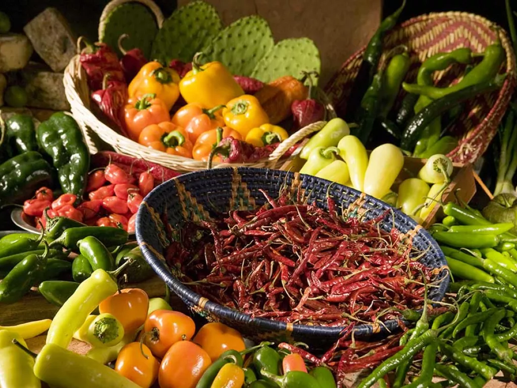 New Mexico's Santa Fe Bike Tour | Backroads Cycling Vacations